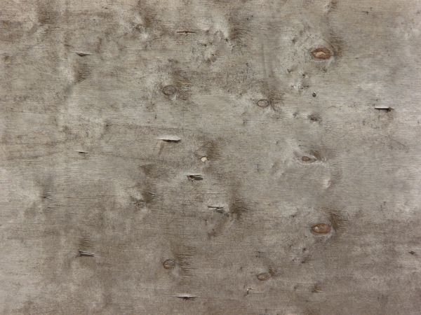 grey knotted wood texture 0030 - Texturelib